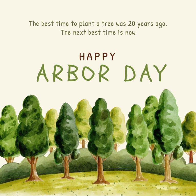+30 Treemendous Arbor Day Activities for All Ages! - Card Sayings